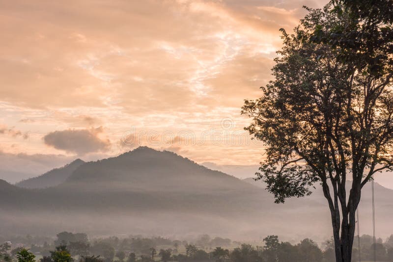 Sunrise at Tree Swing of Mari Pai in Pai, Thailand Stock Photo - Image ...
