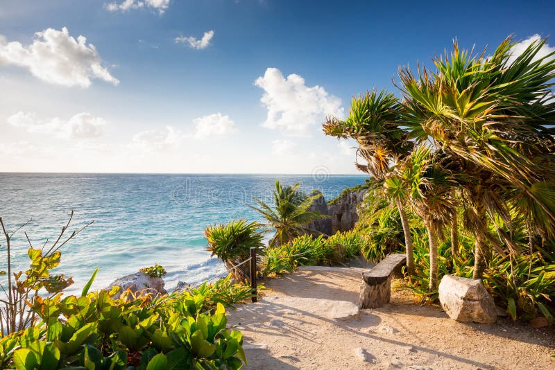 Tulum coast stock image. Image of tulum, caribbean, palms - 92680795