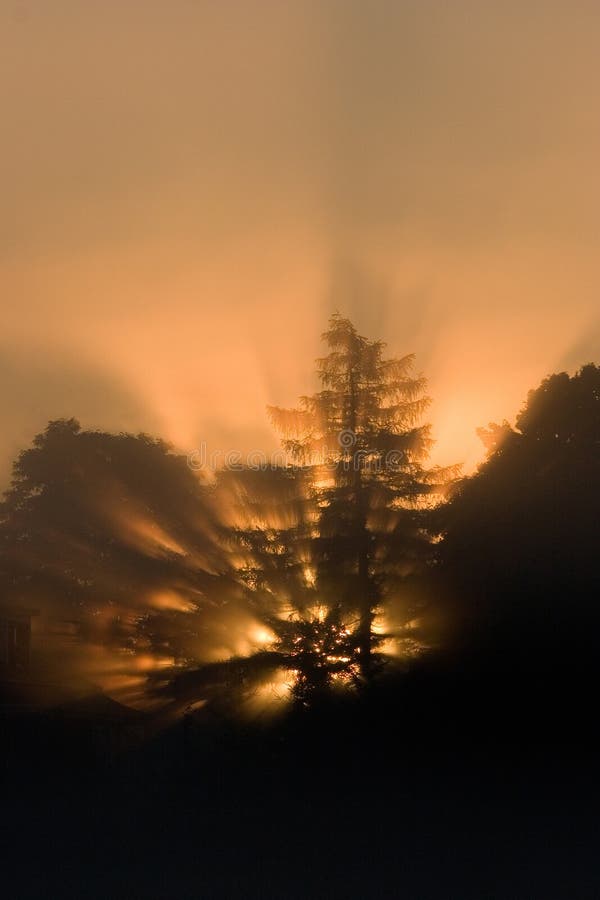 Sunrise - vertical stock photo. Image of dusk, evening - 868266