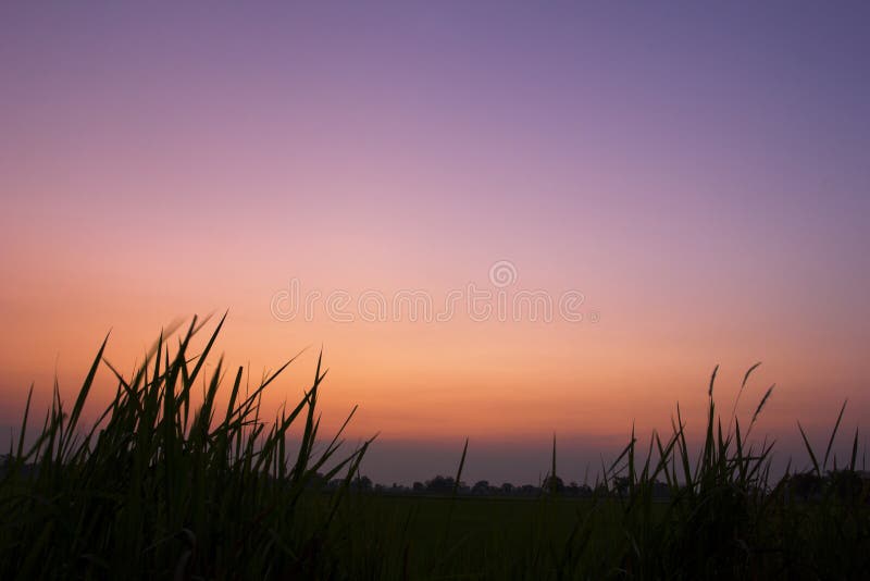 Sunrise view on meadows stock photo. Image of sunrise - 29310638