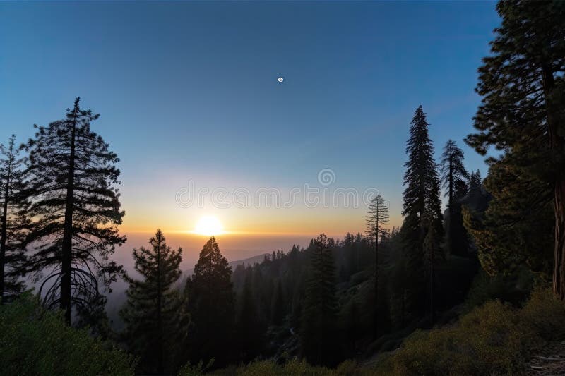 Sunrise, with View of the Sequoia Forest, and a Glimpse of the Blue Sky ...