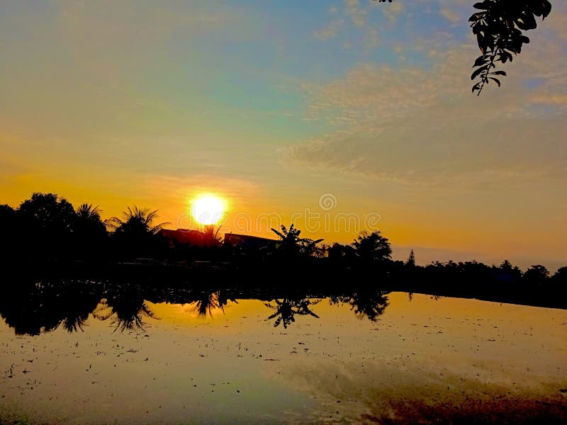 Sunrise View Unplanted Rice Fields Stock Photos - Free & Royalty-Free ...