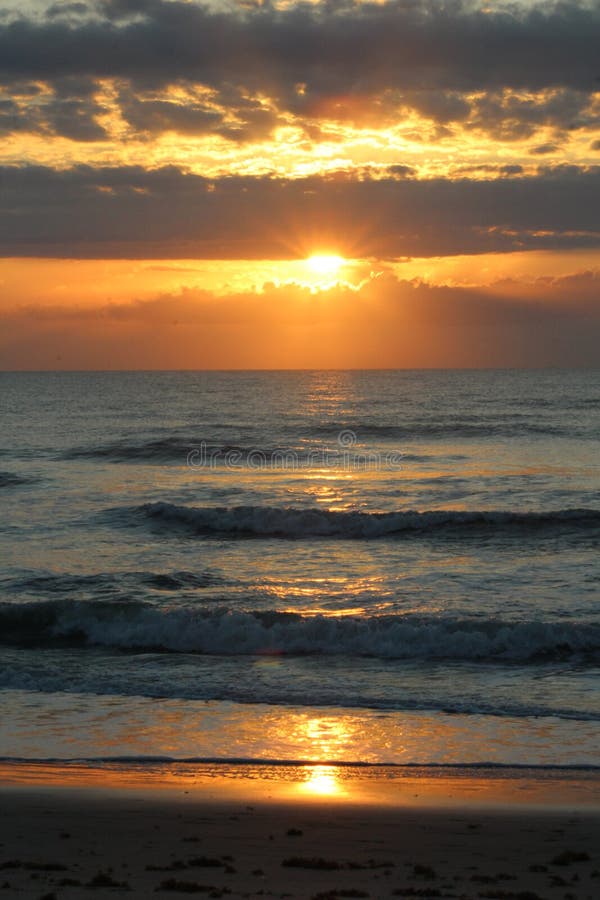 Cocoa Beach Shells Stock Photos - Free & Royalty-Free Stock Photos from ...
