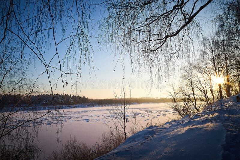 Sunrise on Winter Morning and Trees with Bare Branches on a Cold Sunny ...