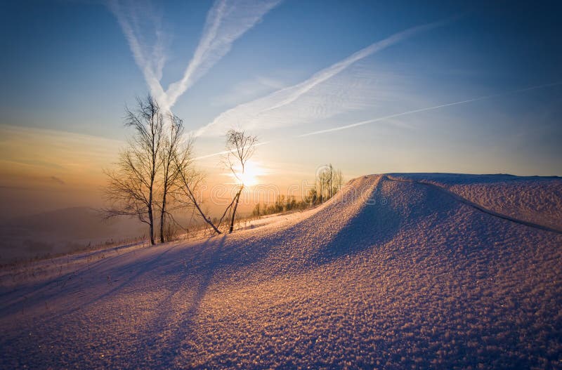 Sunrise in winter stock image. Image of sunlight, forest - 37221109