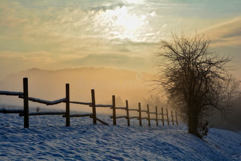 Sunrise in Winter with Tree, Fence and Fog Stock Image - Image of ...