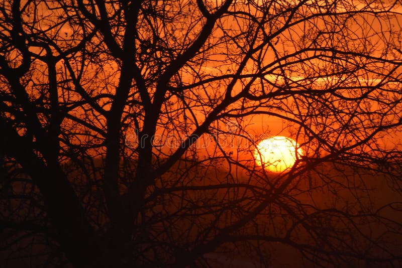 Sunrise at Work in Fort Worth Stock Image - Image of sunrise, trees ...