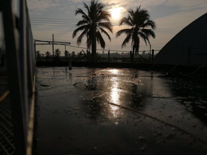 Sunrise stock photo. Image of water, sunrise, working - 108795230