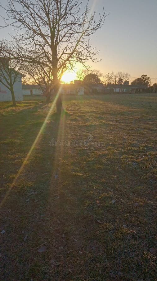 Sunrises with Cold Days, Radiant Sun Stock Image - Image of leaf, lawn ...