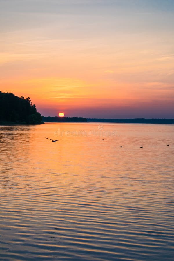 Sunrises Sunsets on a Summer Pond in the Forest Stock Photo - Image of ...