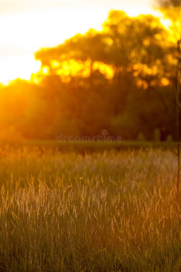 Sunrises Sunsets stock photo. Image of field, dusk, morning - 122167738