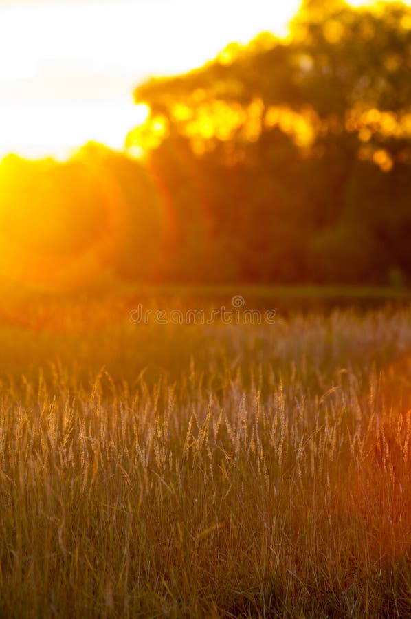 Sunrises Sunsets stock image. Image of ocean, scenery - 122167779