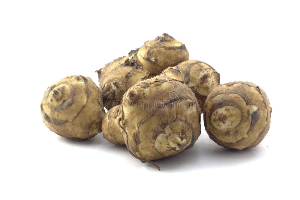 Sunroot stock image. Image of cultivated, sunroot, sunchoke - 4171149