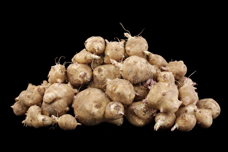 Sunroots, Helianthus Tuberosus Stock Image - Image of harvest, brown ...