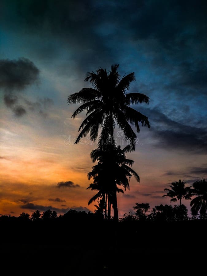 Sunsad stock image. Image of sunsad - 98636317