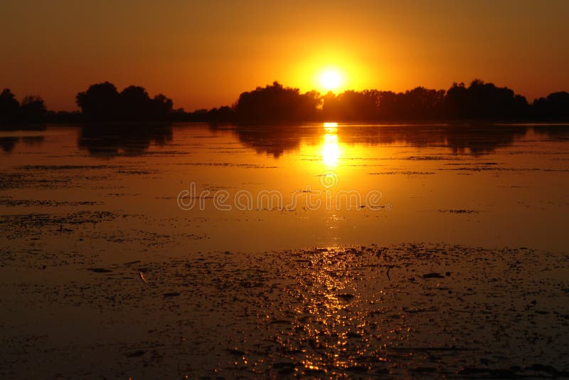 Danube Delta Midsummer Stock Photos - Free & Royalty-Free Stock Photos ...