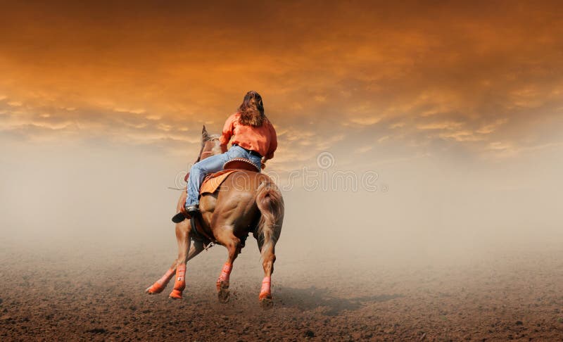 Into the Sunset stock image. Image of gallop, animal, single - 1238719