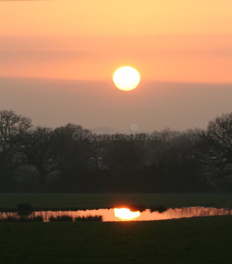 Sunset stock photo. Image of trees, ponds, water, evening - 12910930