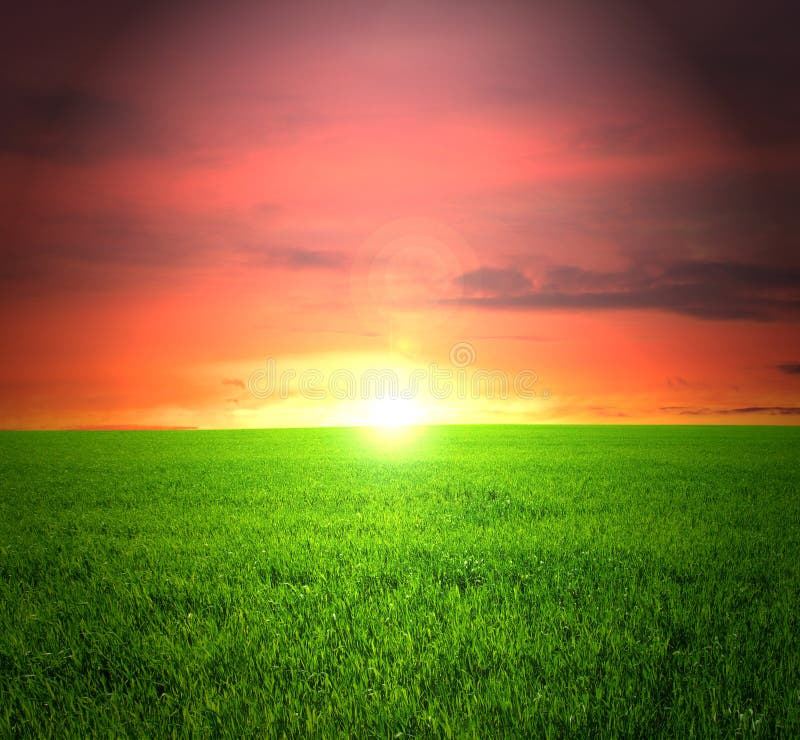 Sunset stock image. Image of green, light, plant, rural - 13780101