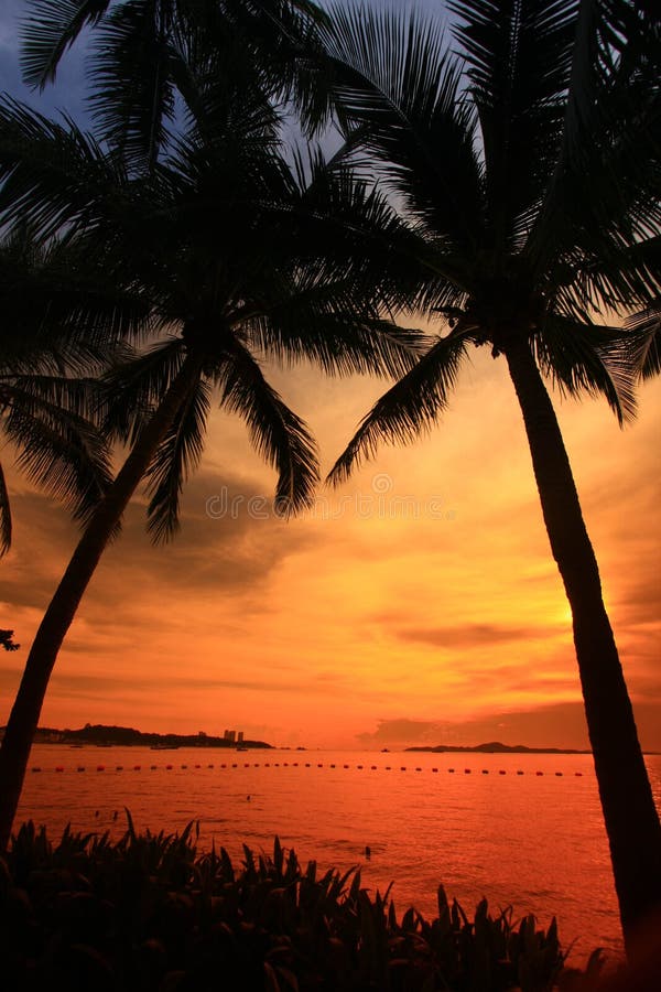 Key West sunset stock photo. Image of ocean, summer, dock - 19404092