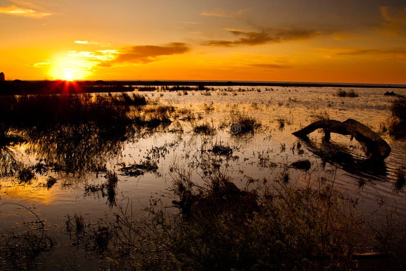 Sunset stock photo. Image of land, burst, marshland, setting - 22667806