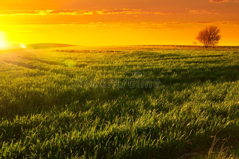 Sunset stock photo. Image of spring, horizon, paradise - 27083732