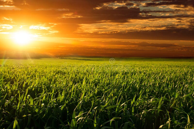 Sunset, Springtime with the sun rising on a