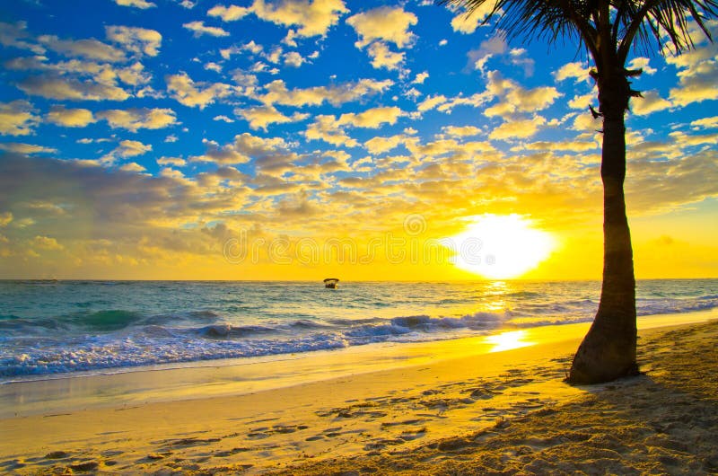 Caribbean beach sunset stock image. Image of nature, indies - 35224101