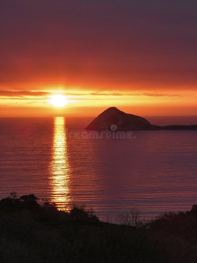 Color X-ray Art, Child 1 stock image. Image of hospital - 123023