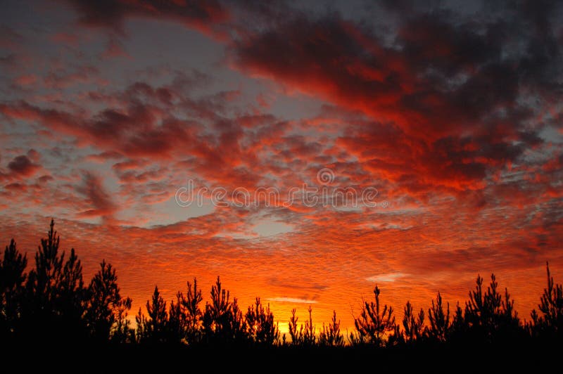 January sunset stock image. Image of sunset, fire, sunrise - 77247