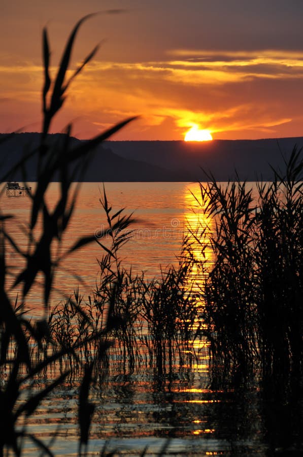 Sun set on the pond stock image. Image of smoke, serene - 6512059