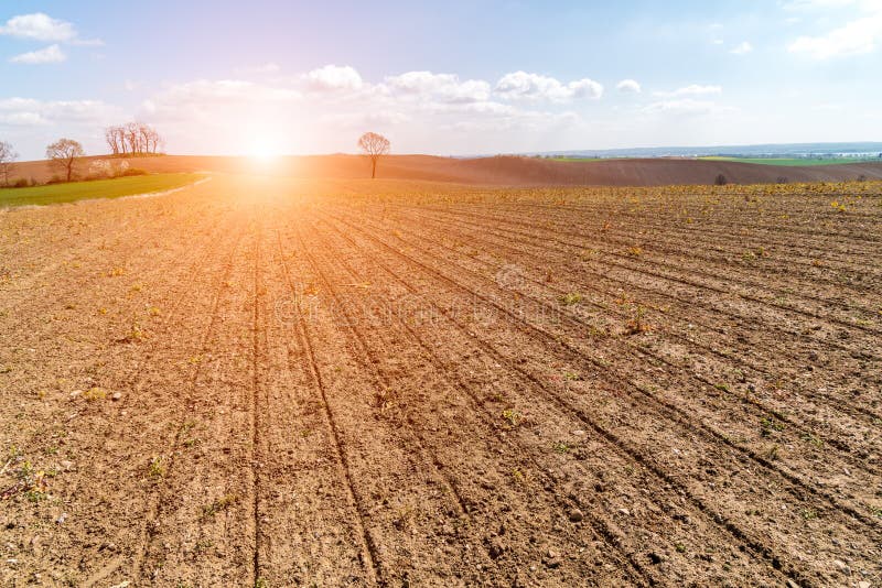 Brown abandoned field stock image. Image of yellow, outdoors - 71345713