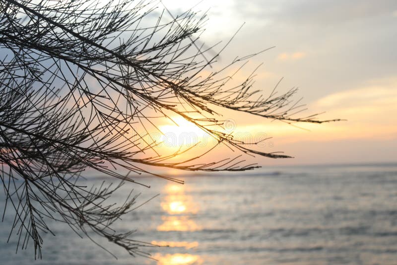 Sunset at Aceh Beach Very Beautiful Stock Photo - Image of sunset ...