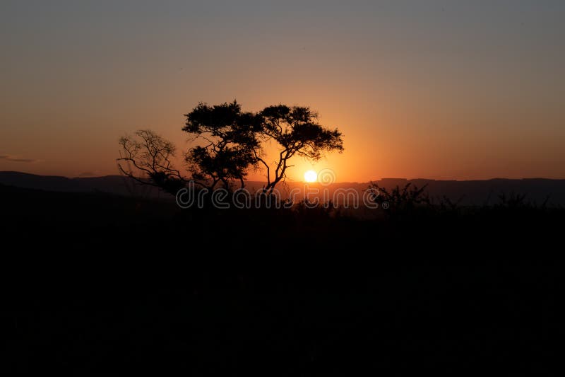 Sunset Across the Wilderness Stock Image - Image of wild, bushes: 374714003