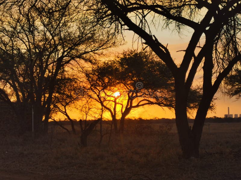 Sunset in Africa stock image. Image of trees, bush, clouds - 163259557