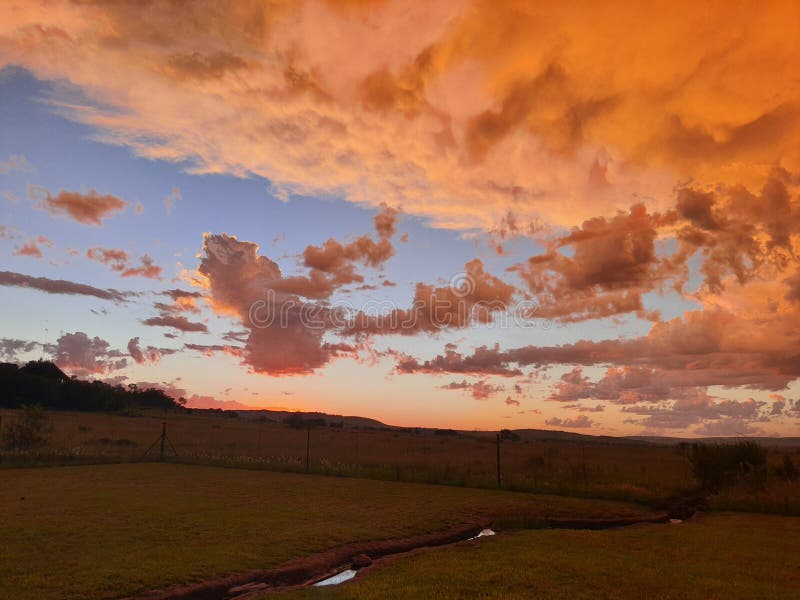 A Sunset in the African Bushveld Stock Photo - Image of painting, cloud ...