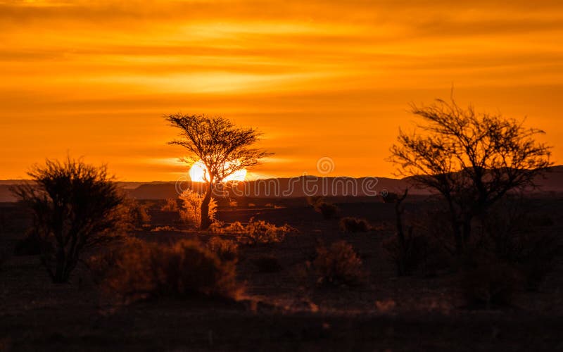 Sunset on African Desert Plains Stock Photo - Image of desert, mother ...