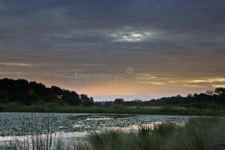 Sunset on african pond stock photo. Image of cloud, pond - 13843464