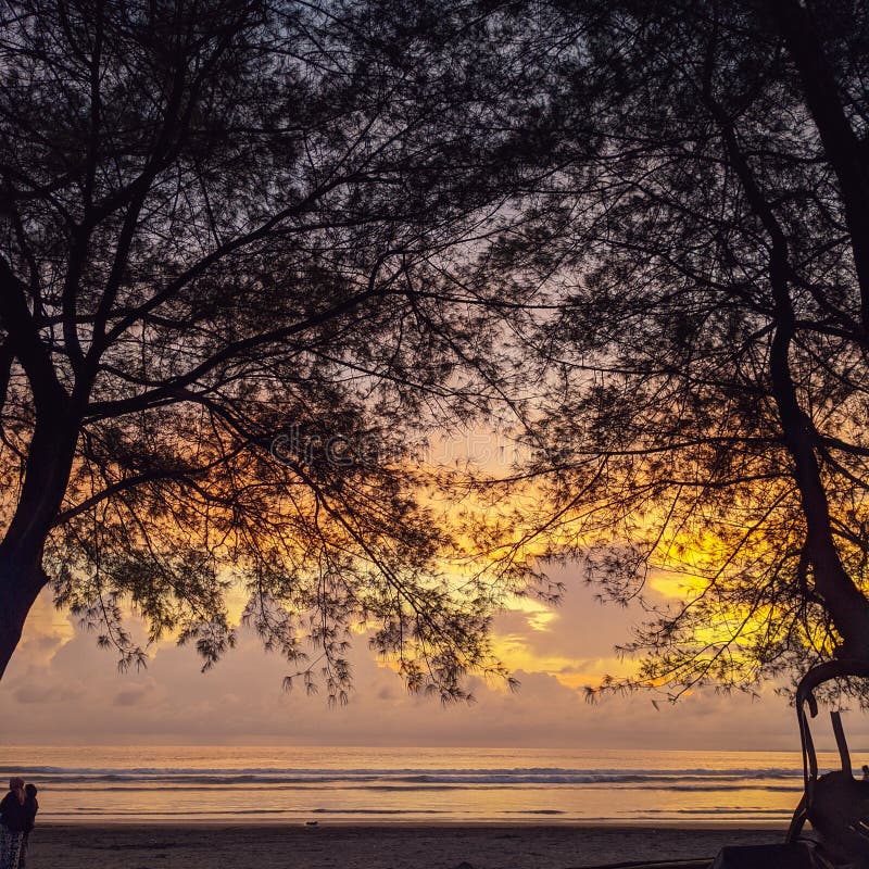 Sunset Afternoon Flower Light Sea Stock Image - Image of flower, light ...