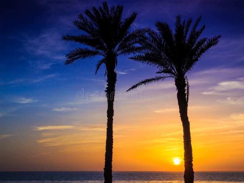 Sunset in Agadir, Morocco stock photo. Image of gold - 52629874