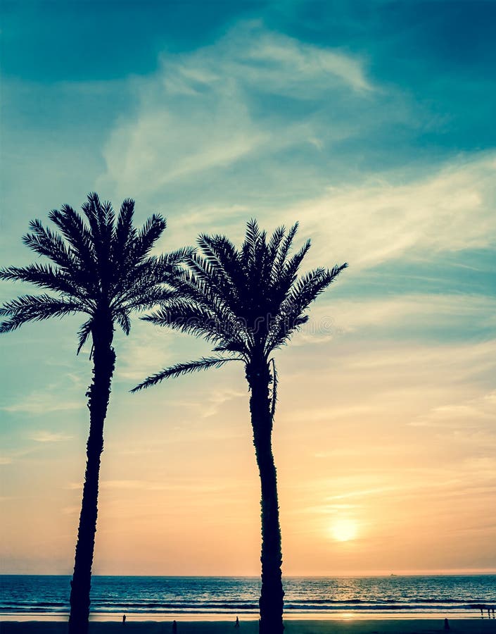 Sunset in Agadir, Morocco stock photo. Image of dusk - 62264908