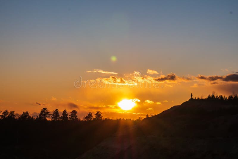 Sunset Against the Backdrop of Tree Tops Stock Photo - Image of nature ...