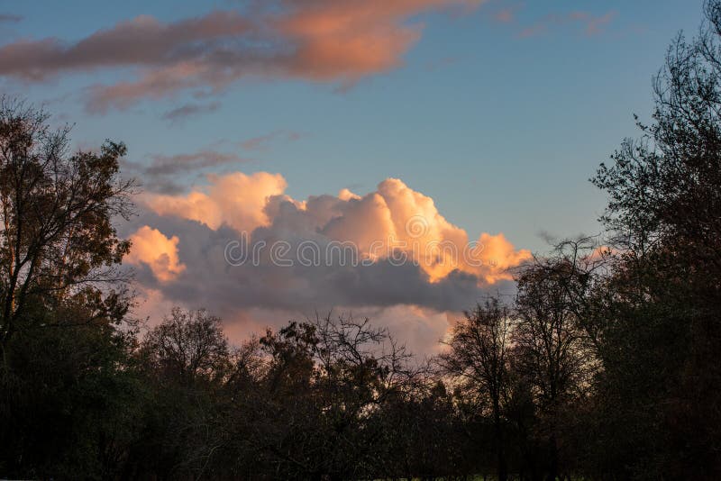 Sunset Against White Fluffy Clouds in the Forrest Stock Photo - Image ...