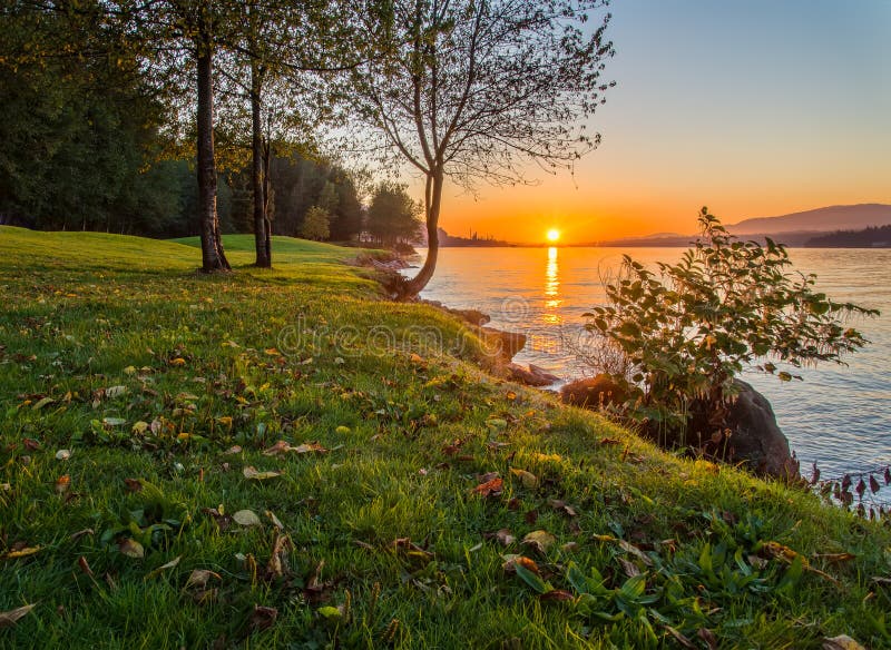 Sunset along grassy shore stock photo. Image of outdoor - 34052808