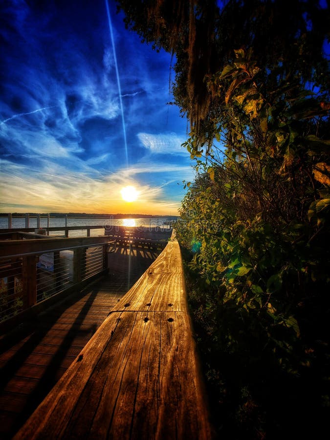 Railing Sunset stock photo. Image of night, horizon - 205578482