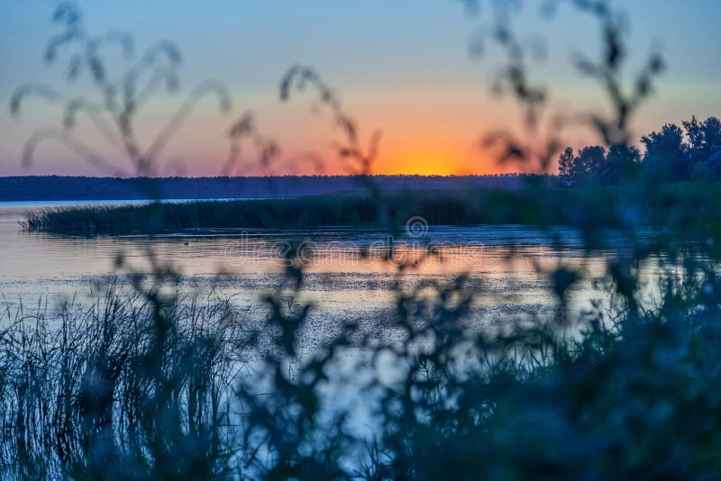 Sunset Along the Summer Bank of the River. Stock Image - Image of ...