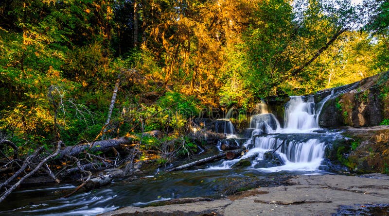 Sunset on Alsea Falls, Oregon Stock Photo - Image of cascade, stone ...