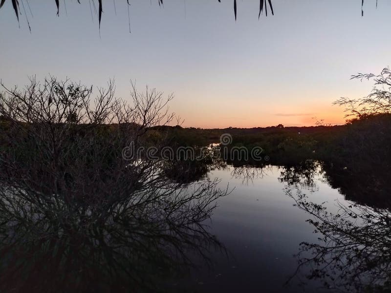 Sunset in the Amazon Jungle Stock Photo - Image of peace, relaxing ...