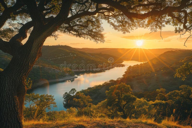 Sunset through Ancient Tree Overlooking River Valley Stock Illustration ...
