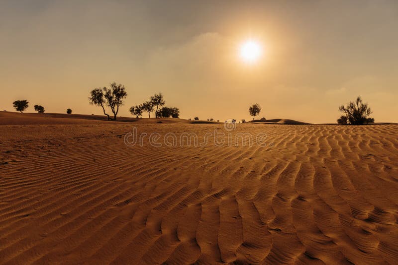 Sunset in the Arabian Desert Stock Photo - Image of tree, dune: 174323546